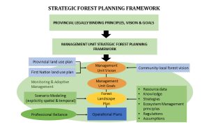 BC Forest Conversation - Landscape Unit Plans